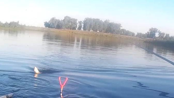 Вечерняя рыбалка на Ахтубе при убывающей луне.