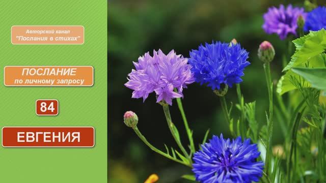 Евгения. Послание по личному запросу 84