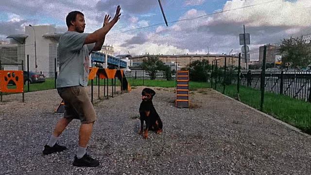 Учусь телекинезу. День 1.