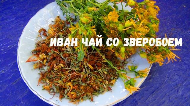 Иван-чай.  С какими травами можно  заваривать _#nizuvivideo #фиточай