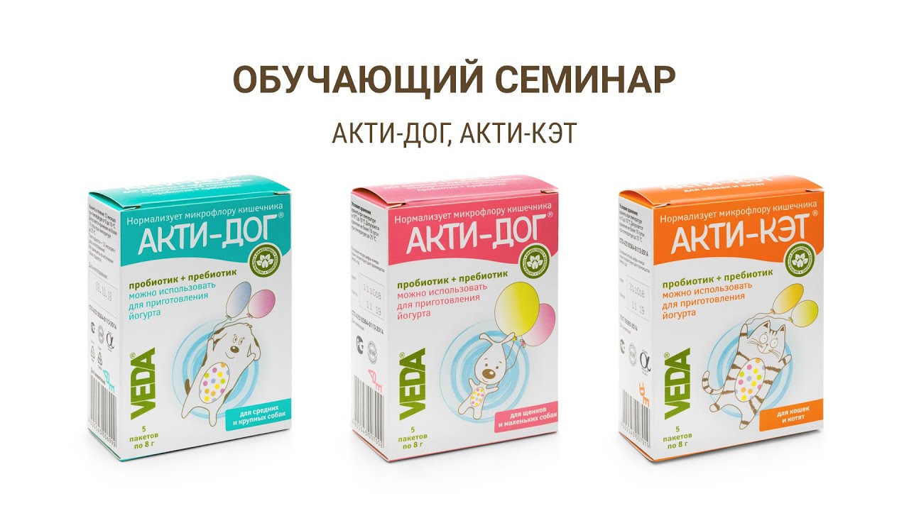 Обучающий семинар 2018 г. - 20 АКТИ ДОГ, АКТИ КЭТ