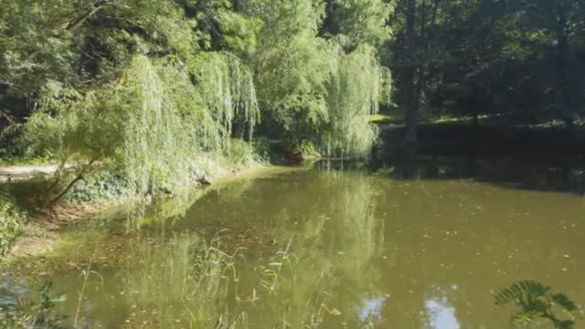 Краснокутский дендропарк