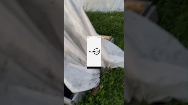 идея от Алины не судите строго#shorts