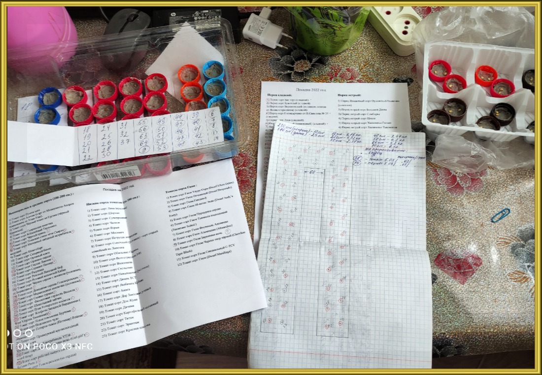 ✅ Проращивание семян томатов и перцев в крышечках на туалетной бумаге
