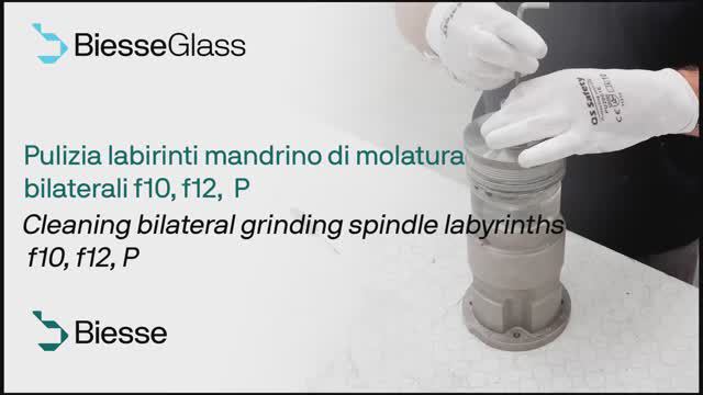 Чистка лабиринта Busetti F10 и F12