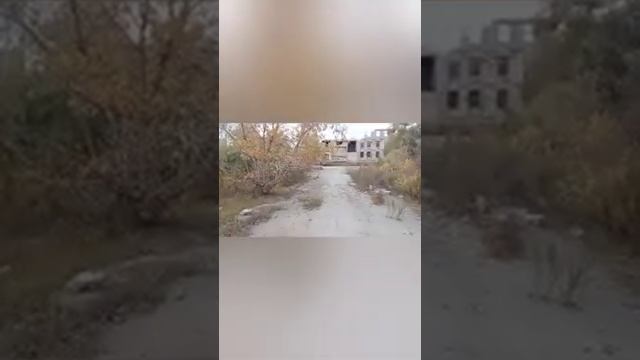 Прогулка в парке)