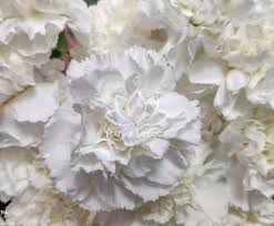 Как сделать гвоздики из бумаги.