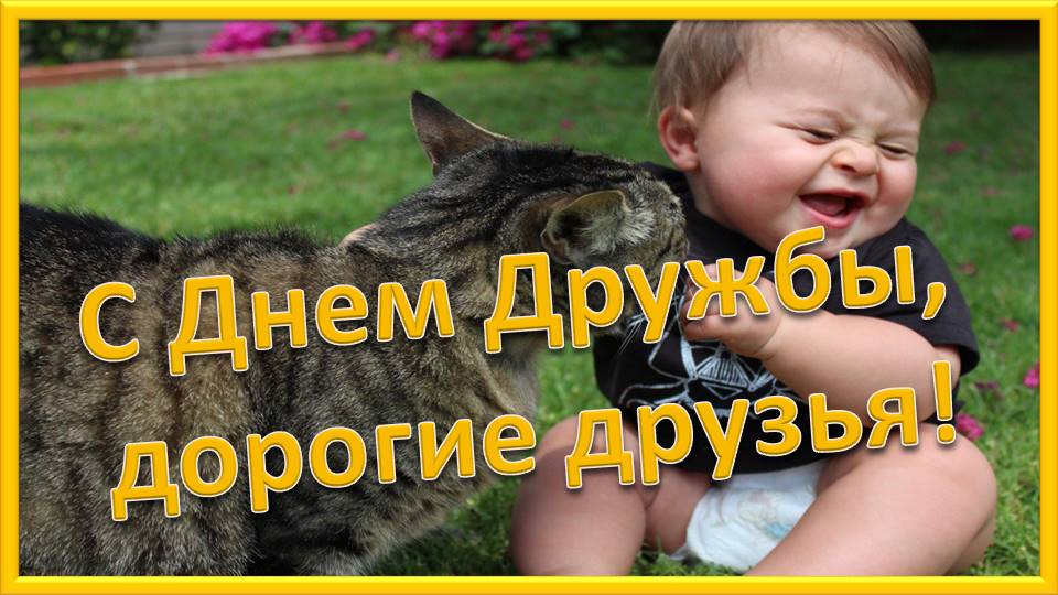 С днем дружбы друзья! 30 июля