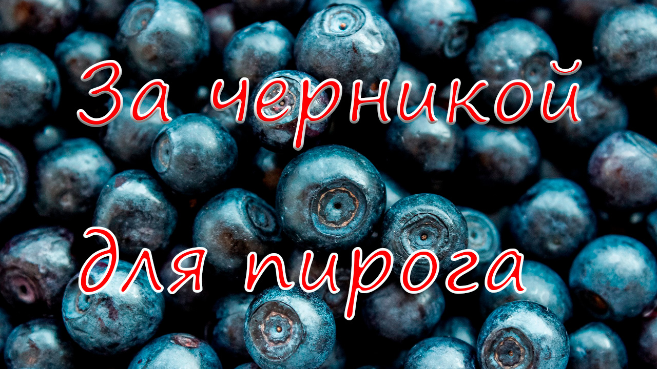 За черникой для пирога. Черничный пирог.