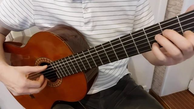 Подмосковные вечера, (Moscow region evenings) обработка для классической гитары