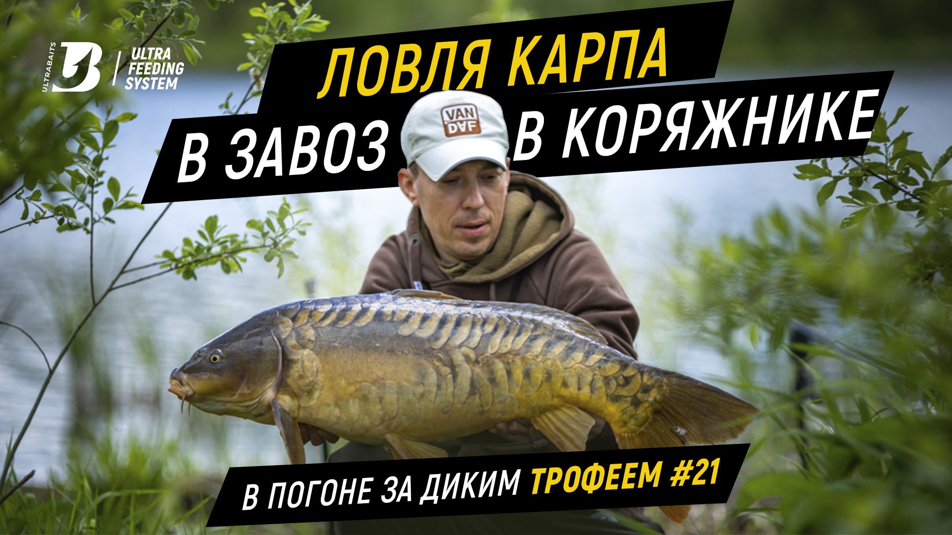 Трофейная рыбалка. Ловля карпа в завоз в коряжнике. В погоне за диким трофеем #21.