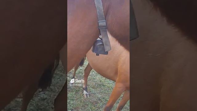 Знакомство.mp4
