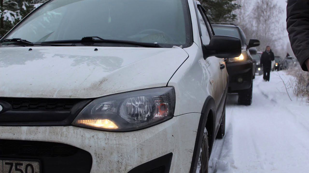 Воскресенский абзетцер зимой