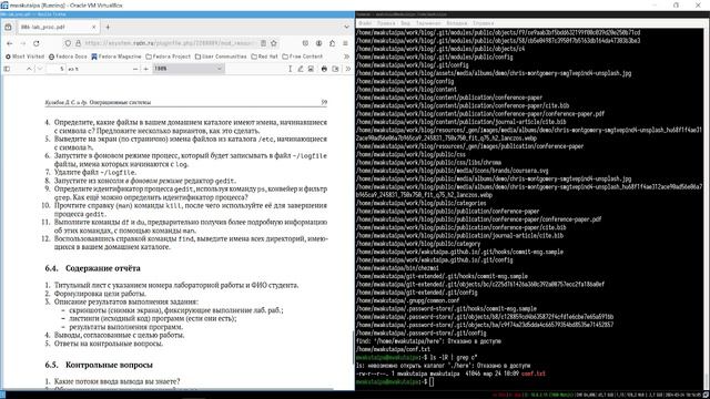 Выполнение лабораторной работы №8