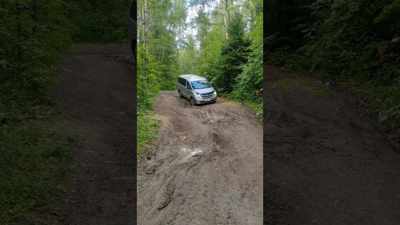 Машина - зверь! И суперводитель! #starex #грандстарекс #дорога #папавова #папаможет #automobile