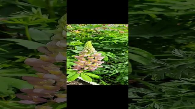 Смысловые цитаты🎇🌟