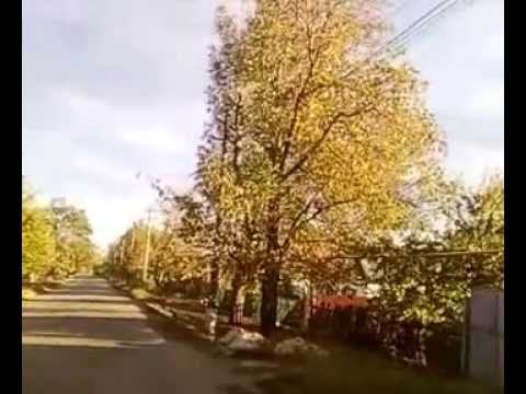 Последнее солнце