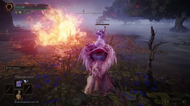 Проигрыш не всегда поражение ➤ Elden ring PVP