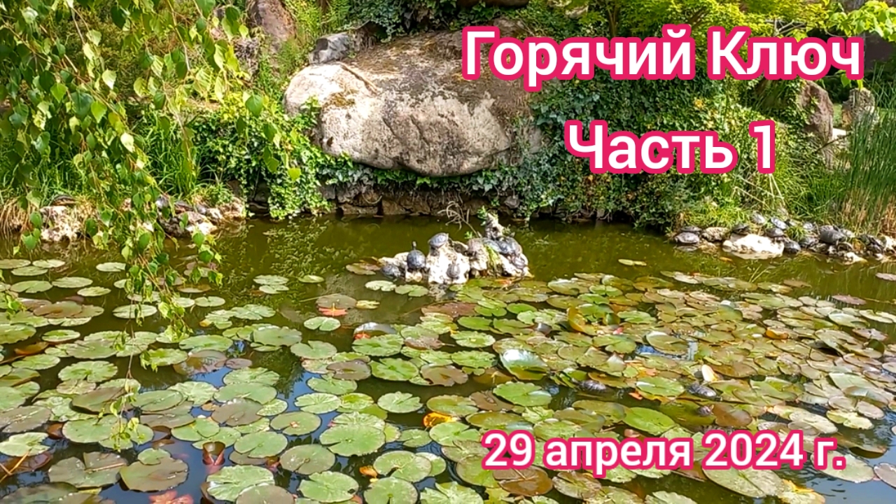 Горячий Ключ - часть 1 - тысяча сосен и озеро - 29 апреля 2024 г.
