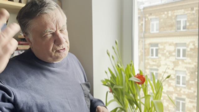 А вот и первые тюльпанчики!