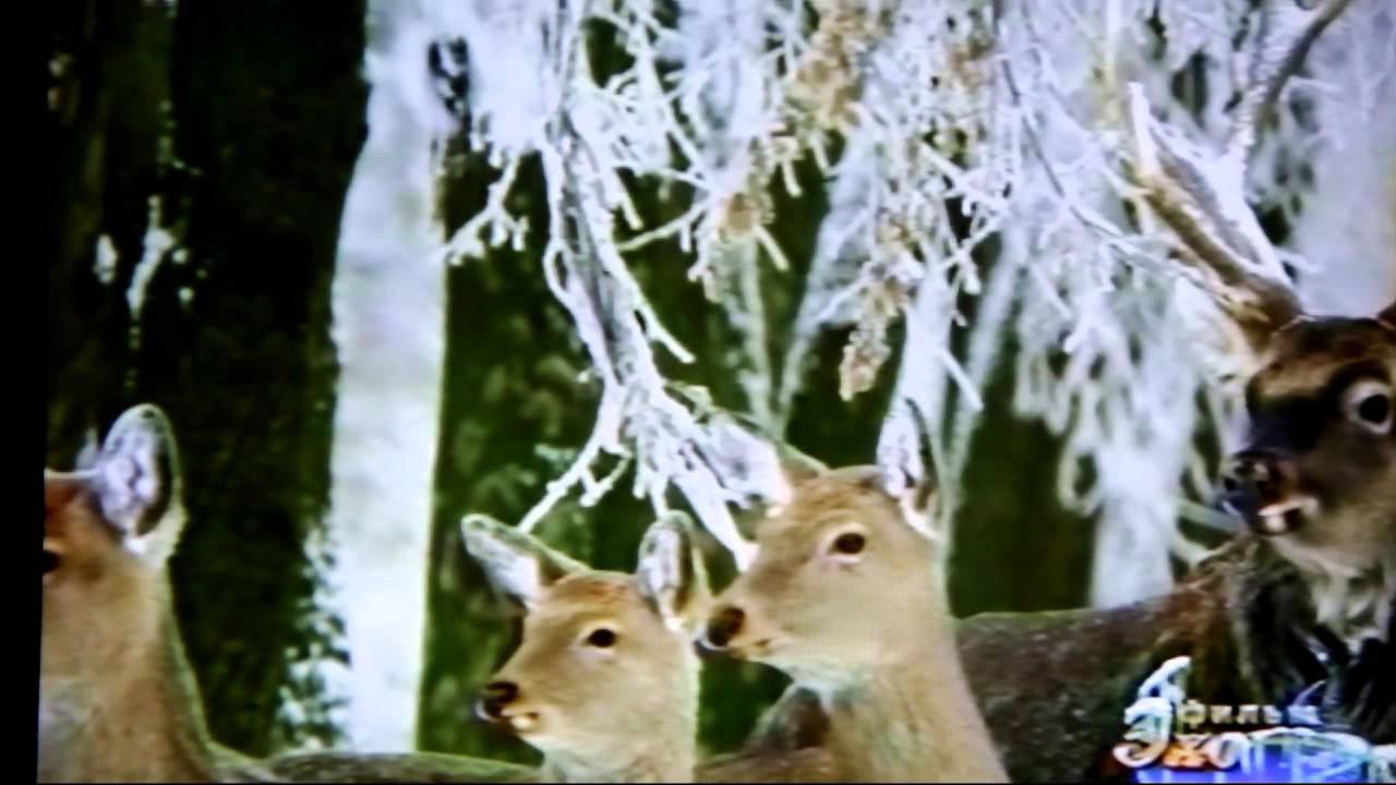 Итоги фото  конкурса.