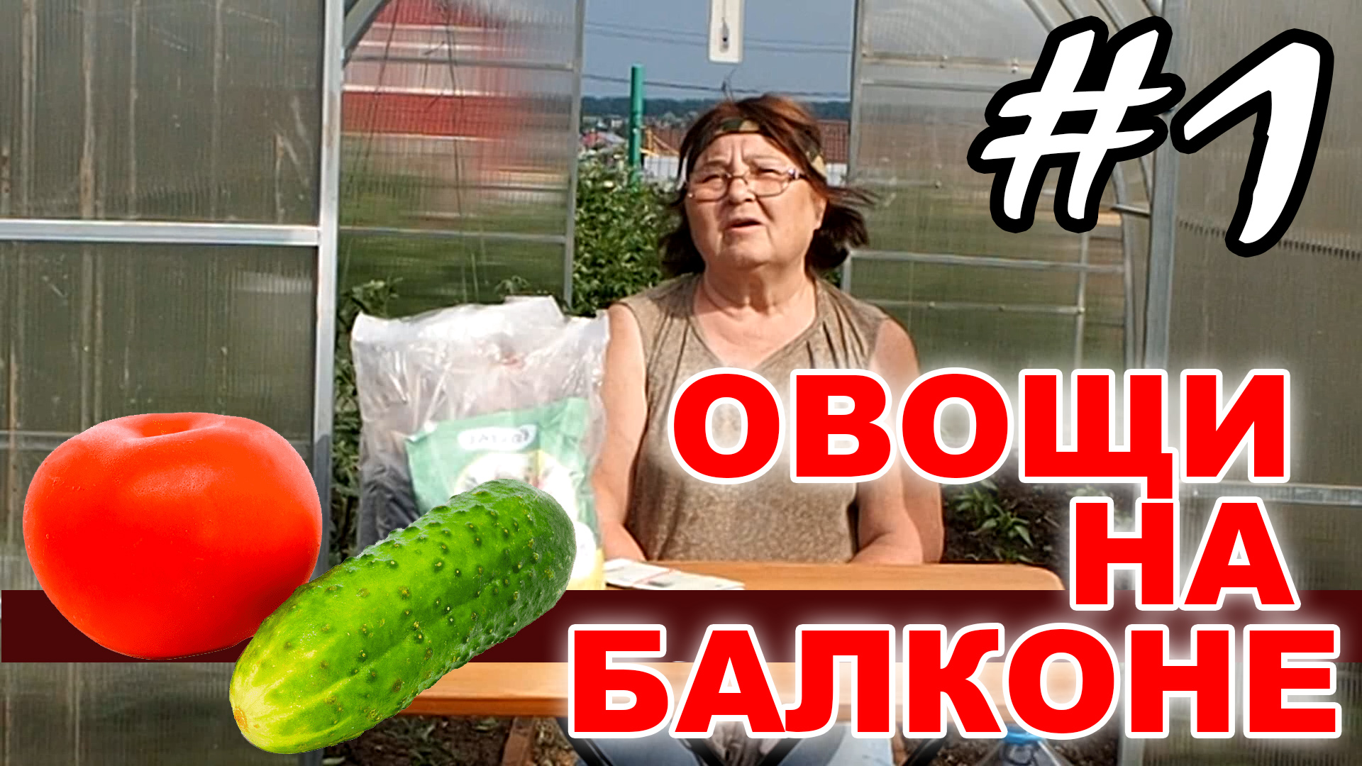 Выращиваем овощи огурцы и помидоры на балконе. Эксперимент - #1