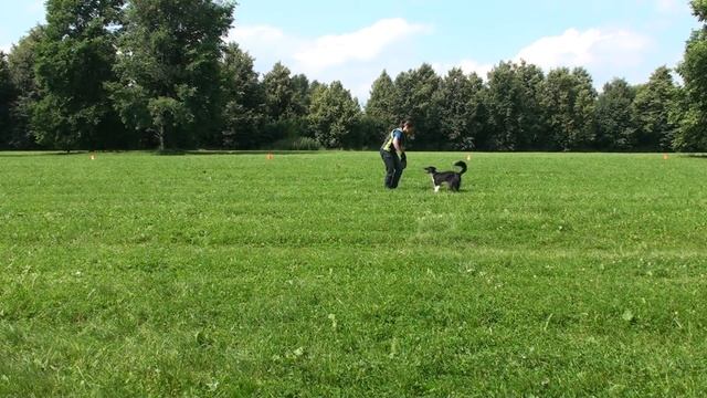 Кубок Клуба 2017 Татьяна и Пуля.mp4