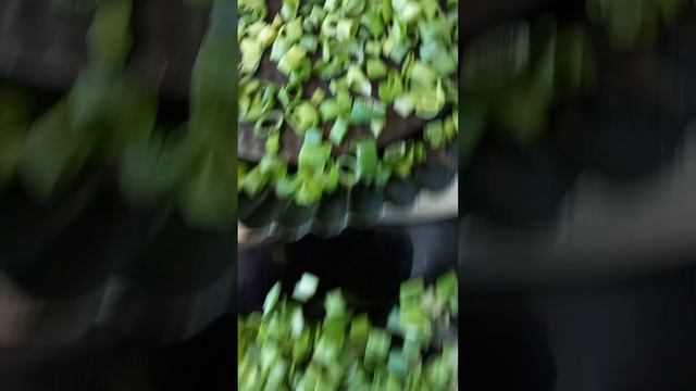 Стрелки лука ни когда невыбрасывайте, их можно высушить