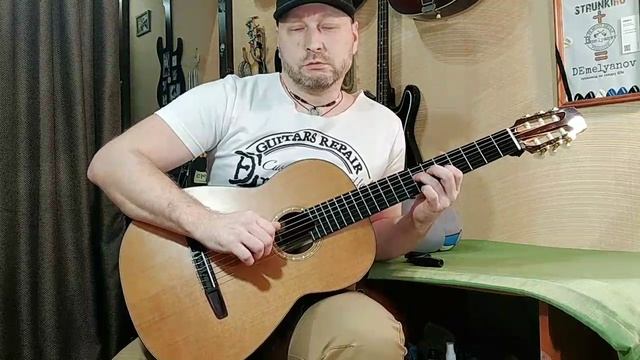 Мастеровая гитара работы Андрея Кибинь. Доводка и обслуживание DEmelyanov