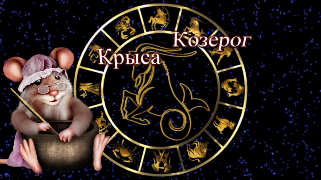 Совмещение гороскопов. Крыса козерог