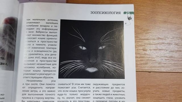 Видео-обзор журналов для детей. Вып. 2(30). Ноябрь 2021 г.mp4