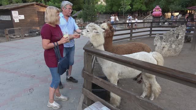 Крым. Фильм 6 Парк миниатюр.mp4