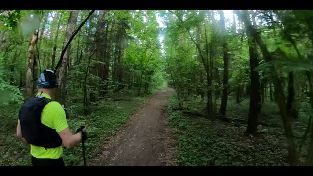 Пробежка 9.06.2024