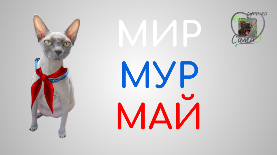 МИР МУР МАЙ