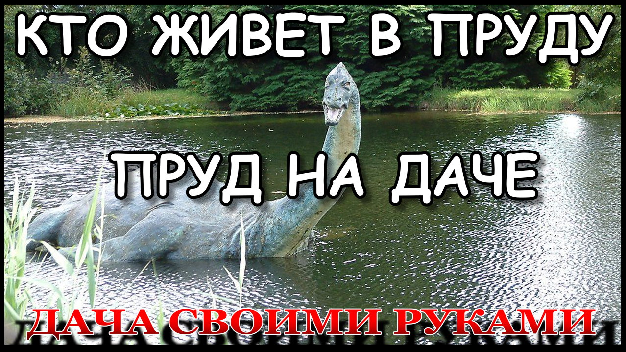 Показываю ПРУД на даче 6 лет спустя
