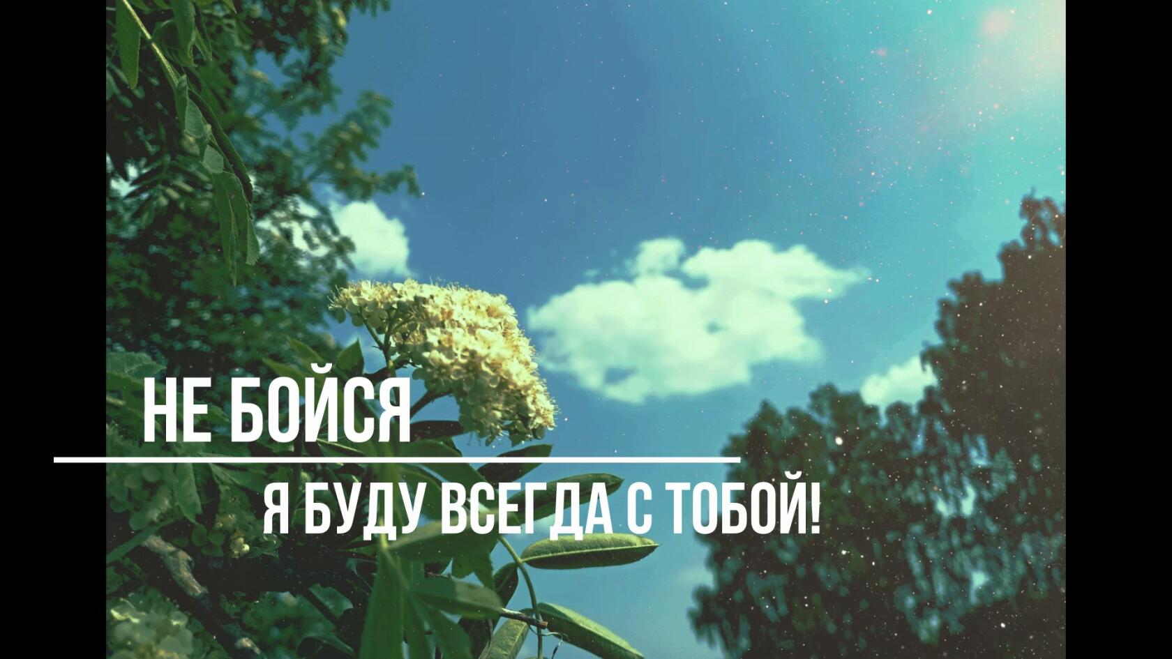 Не бойся, просто люби