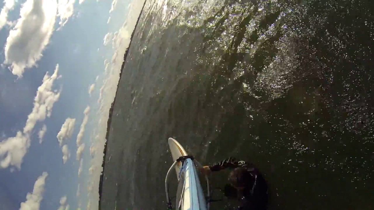 Что такое осень? Это ВЕТЕР!