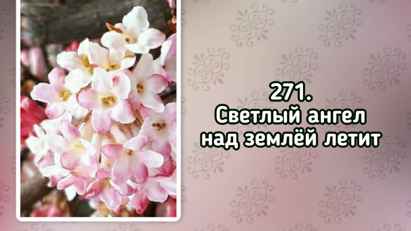 Гимны надежды 271 Светлый ангел над землёй летит (-)