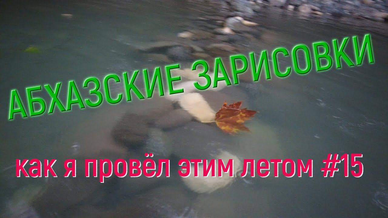 Абхазские зарисовки. Серия 15 // КАК Я ПРОВЁЛ ЭТИМ ЛЕТОМ