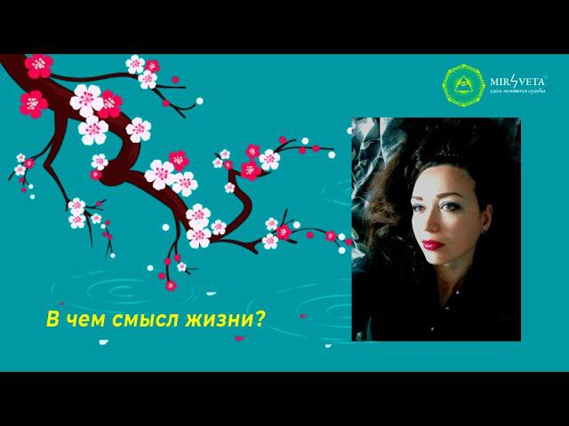 СМЫСЛ ЖИЗНИ. отрывок из эфира