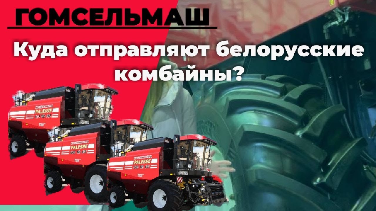 Работа 24/7. Где собирают и куда продают белорусские комбайны?