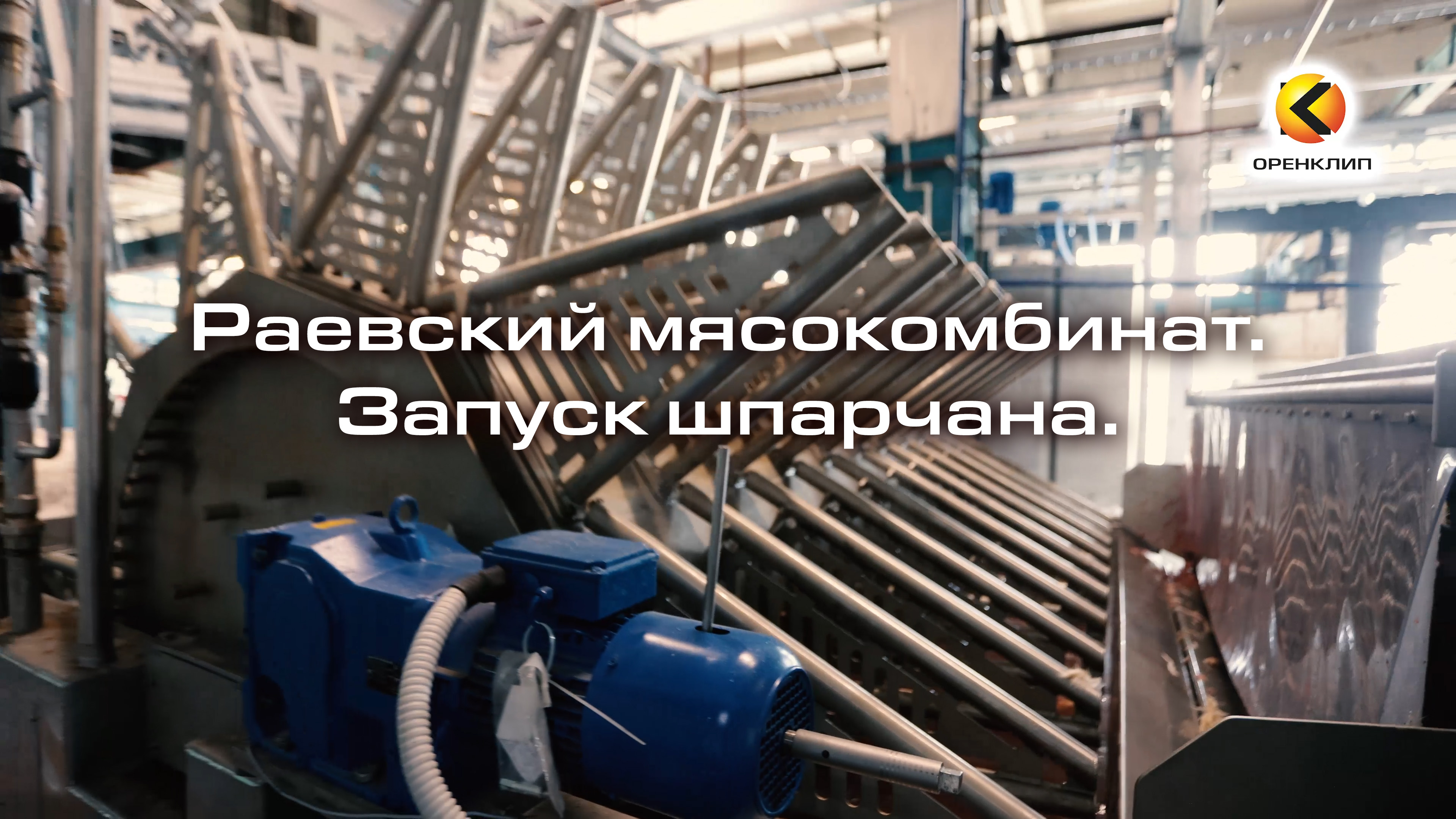 24.06.2021. Раевский мясокомбинат. Запуск шпарчана.