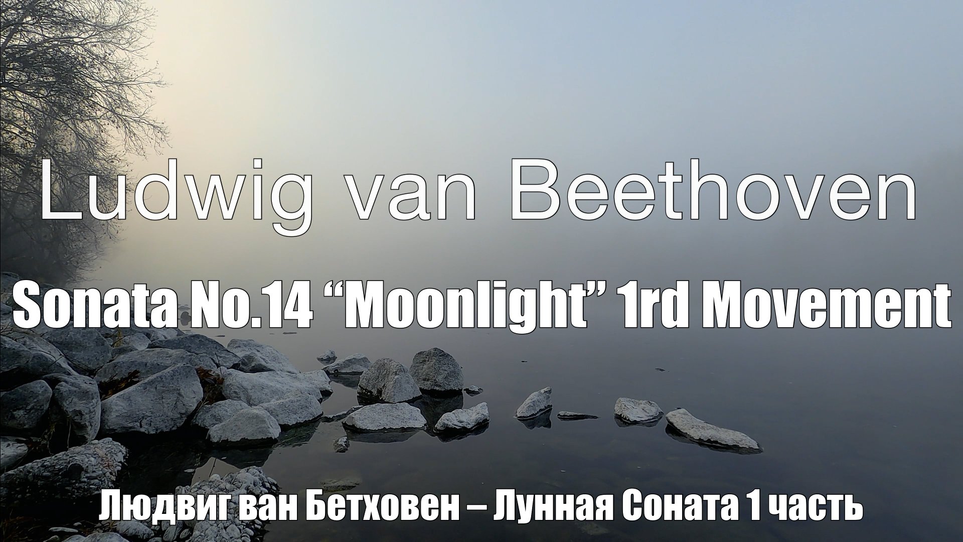 Людвиг ван Бетховен – первая часть из Сонаты для фортепиано № 14 до-диез минор, соч. 27 № 2