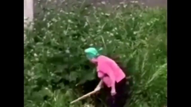 Профилактика алкоголизма.