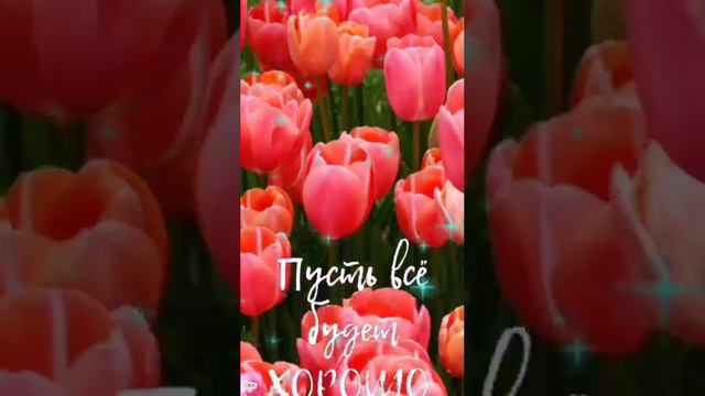 Доброго дня