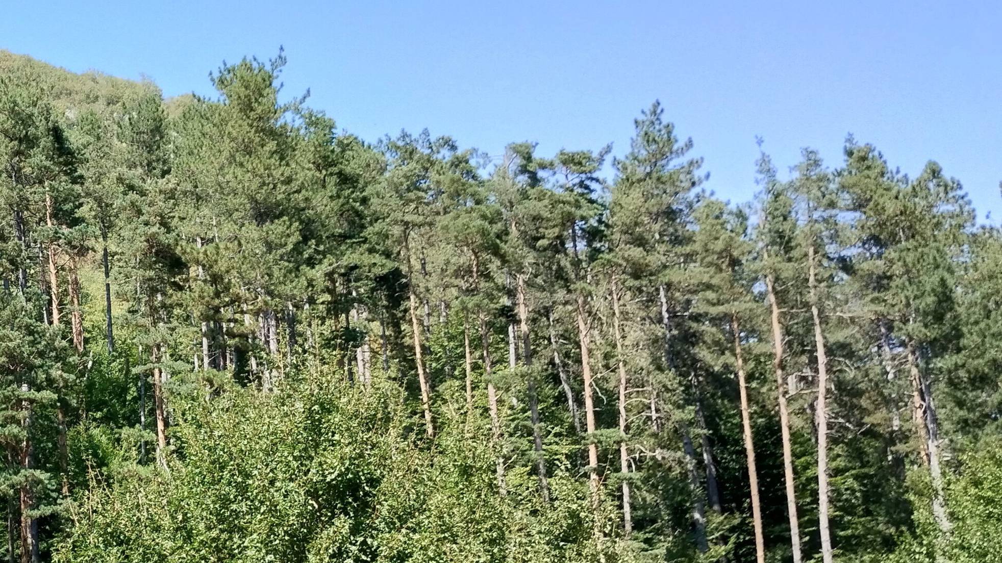 В СЪРЦЕТО НА БЪЛГАРИЯ /част 142/. Червен бряг - Карлуково