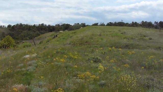 24.05.2017 Взгляд от Керченской крепости на строительсво Крымского моста