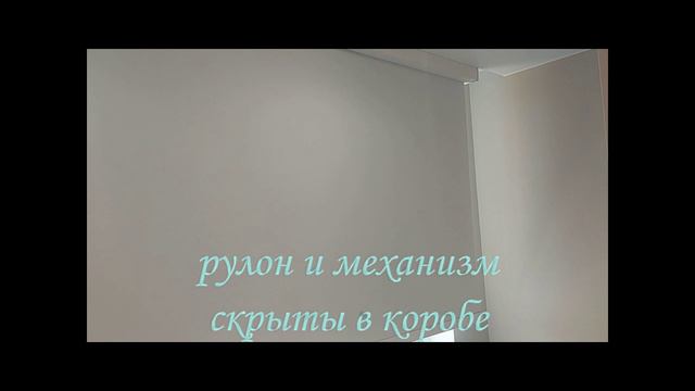 Рулонные шторы Benthin
