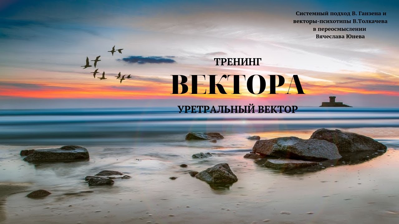 Занятие 4. Уретральный вектор. Тренинг  Вектора. Проект Вячеслава Юнева.mp4