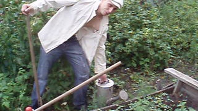 Владимир Ветрав. Летний сад (стих. 2005 г.).